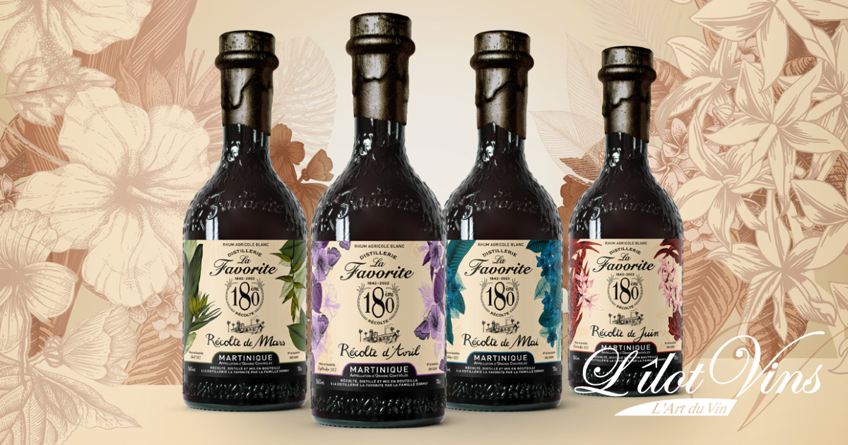 Cuvées Récolte 2022 La Favorite disponible chez L'îlot Vins Martinique