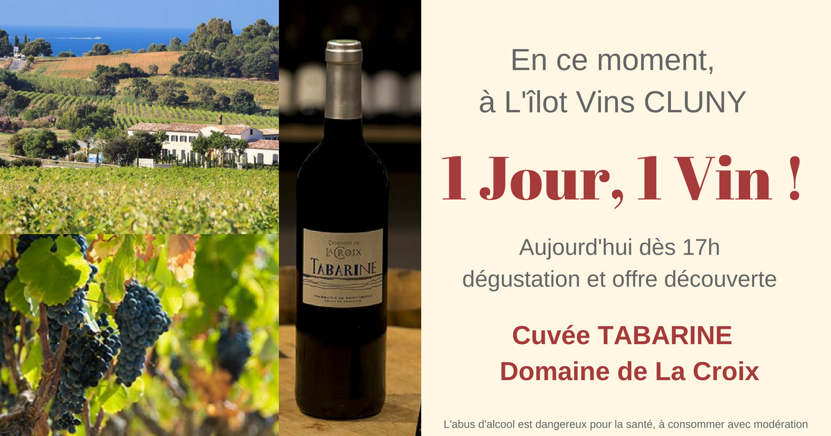 1 Jour, 1 Vin | Cuvée Tabarine Rouge, Domaine de La Croix | L'îlot Vins ...