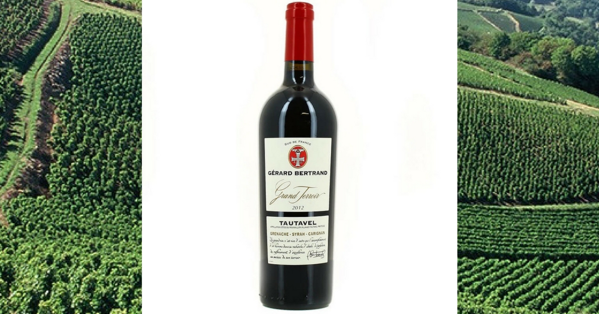 Lire l'étiquette d'un vin français | Cave L’îlot Vins Martinique