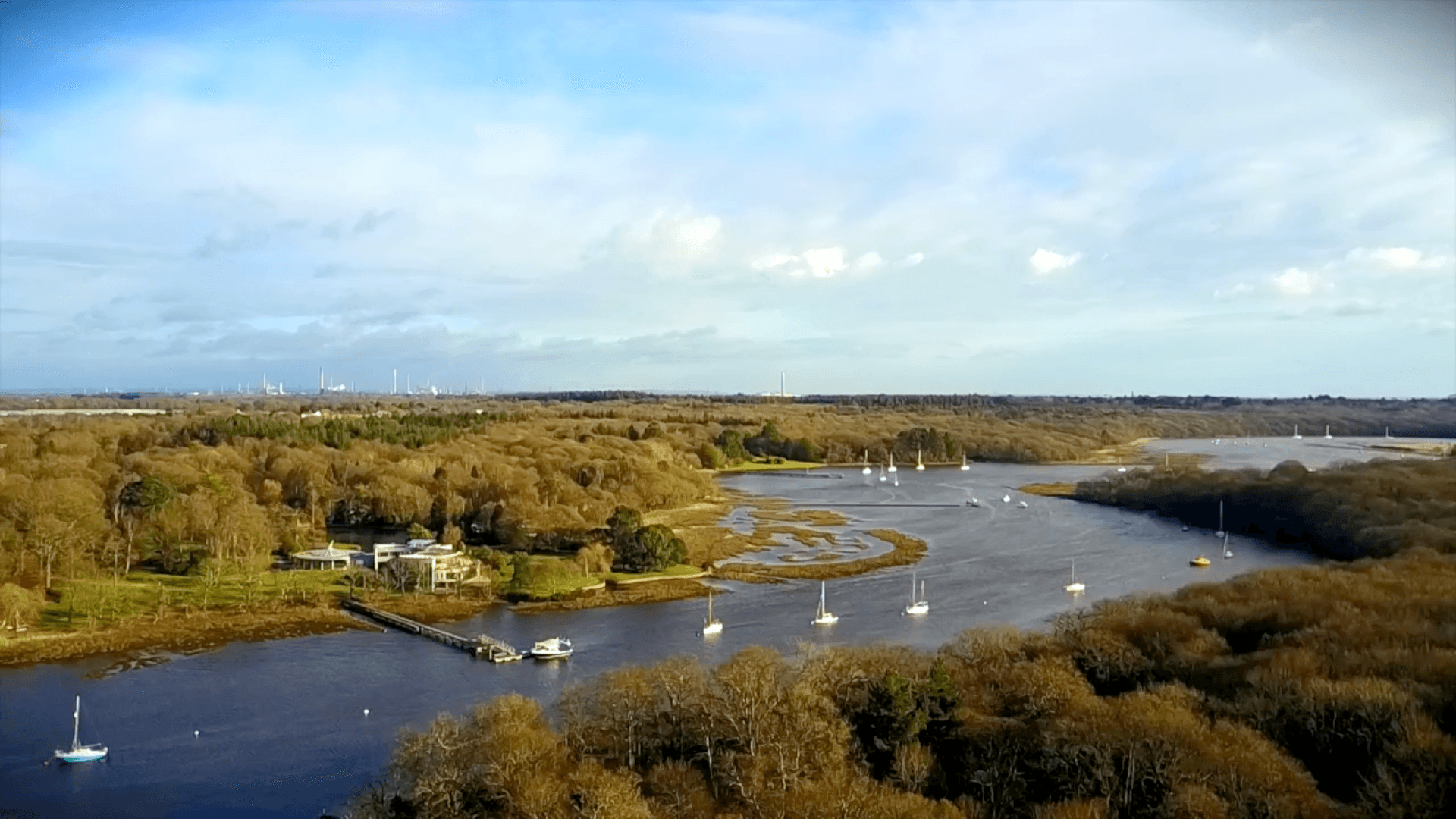 Top 5 FAQs About Booking in New Forest Activities