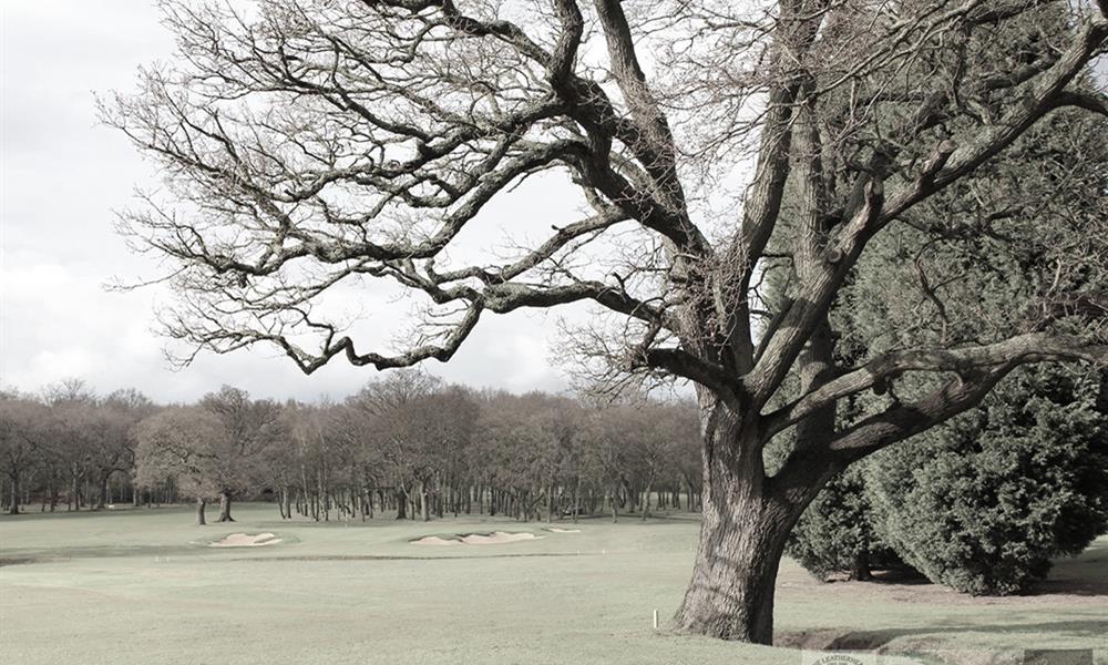 Leatherhead GC | Surrey