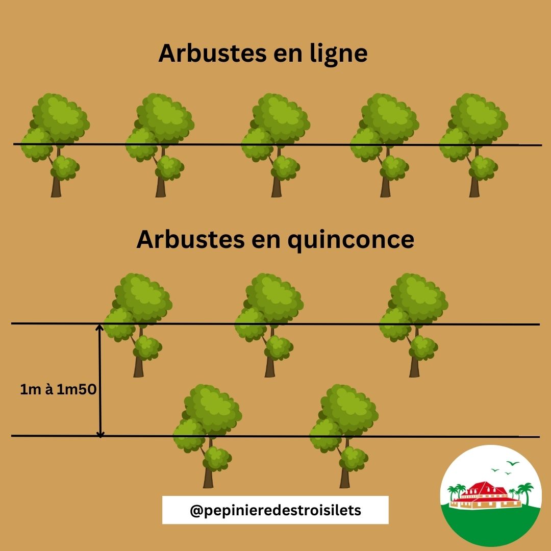 Les plantes pour retenir la terre sur un talus?