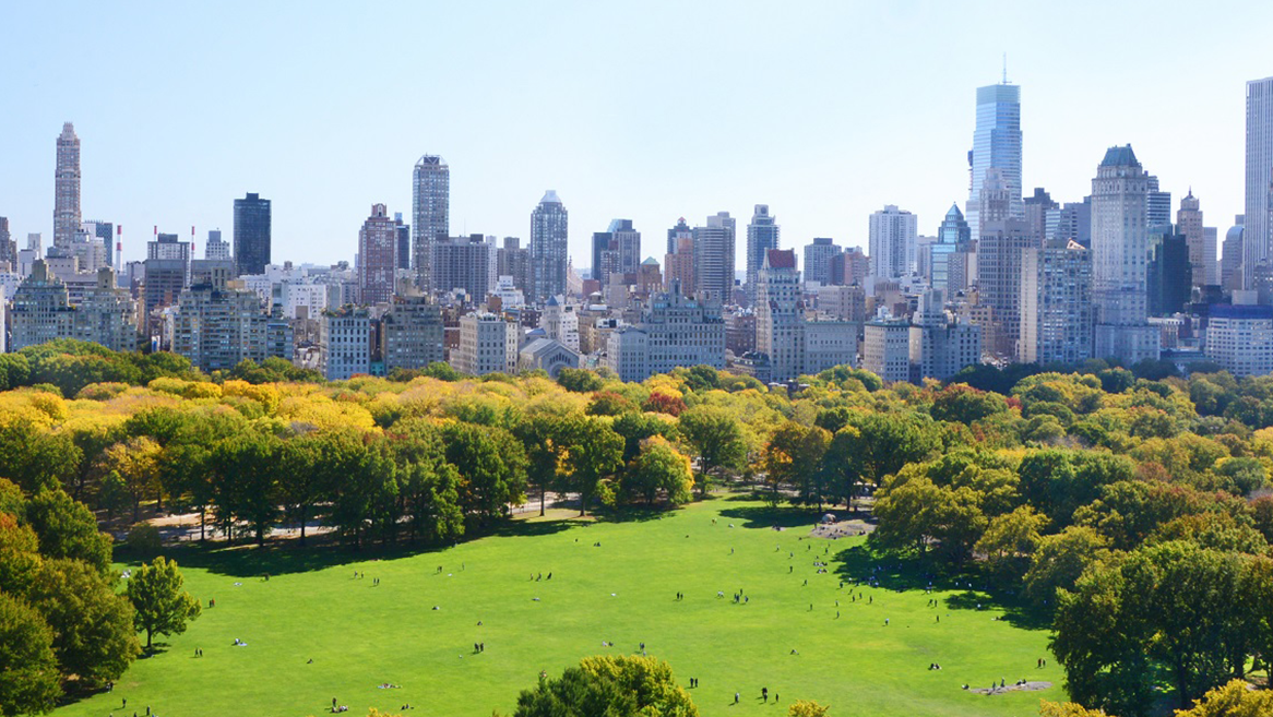 New york citys green revolution