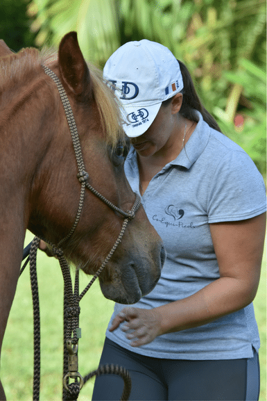 Accueil | Co-Équi-Pieds, équitation éthologique et équicoaching